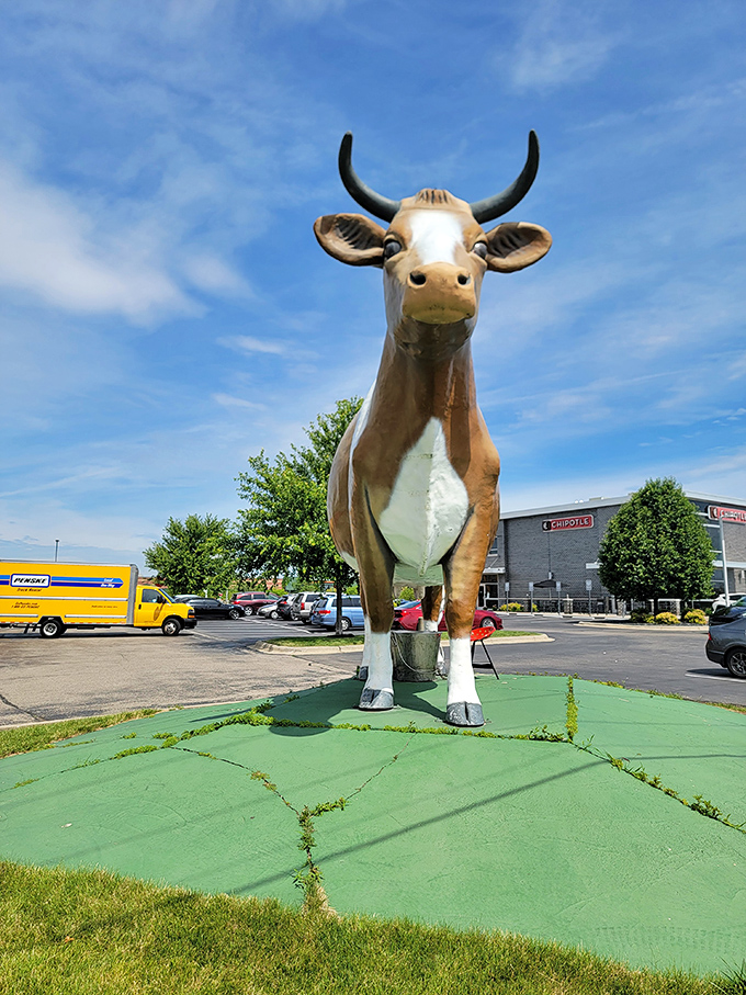 Face-to-face with fiberglass fame! Bessie's stoic expression seems to say, "I've seen everything from this parking lot, and honey, I've got stories."
