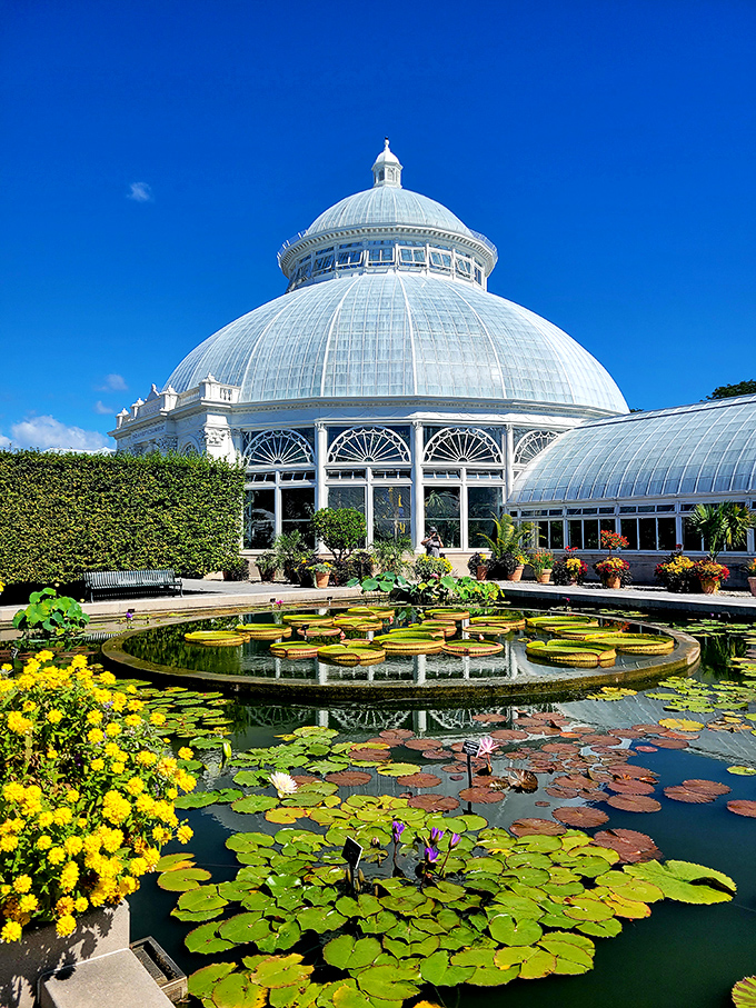 The Enid A. Haupt Conservatory stands like a Victorian wedding cake made of glass, surrounded by lily pads that seem to be auditioning for a Monet painting.