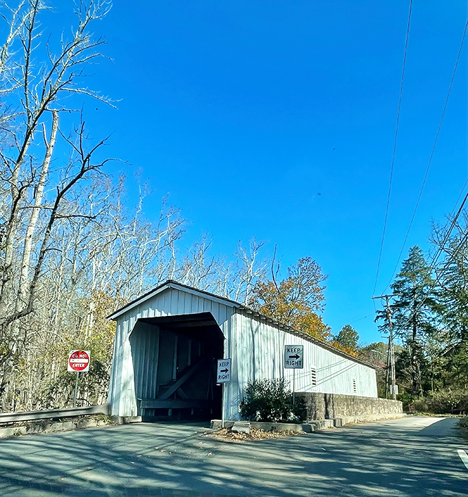 Against a perfect blue sky, the white wooden sentinel stands guard over centuries of Jersey history.