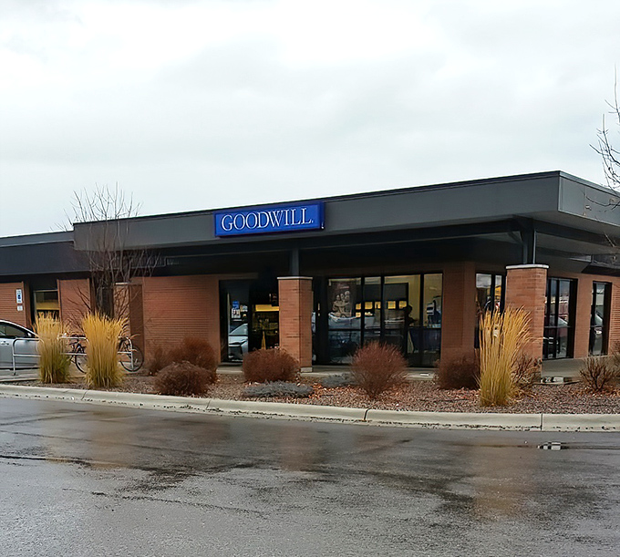 Even on a gray Montana day, that bright blue sign stands as a beacon of hope for the budget-conscious and the treasure-seeking adventurer alike.