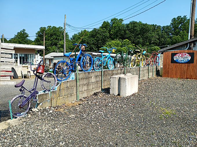 A colorful array of repurposed bicycles creates an impromptu sculpture garden. Who knew someone's transportation graveyard could become such delightful folk art?