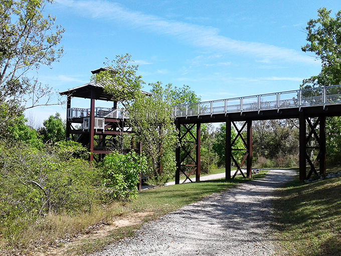 Where nature and architecture meet in perfect harmony. This elevated walkway feels like Florida's version of a mountain trek.