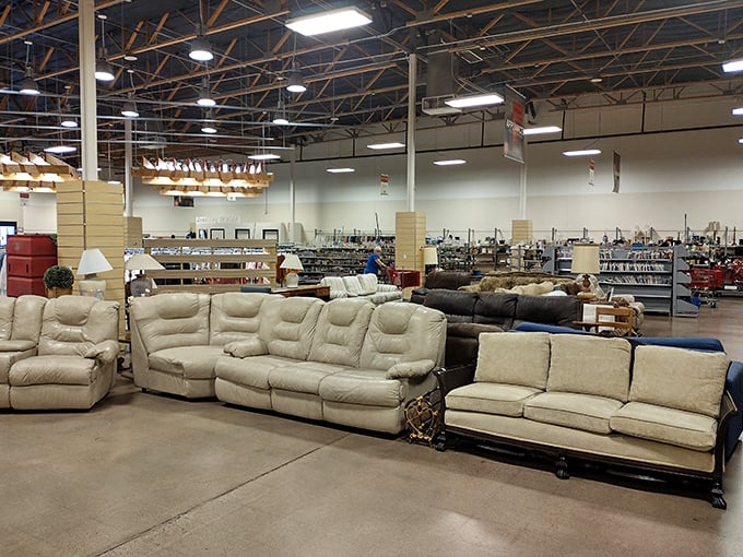 A sea of beige and neutral-toned sofas awaits new homes, like a furniture showroom where every piece has lived a previous life.