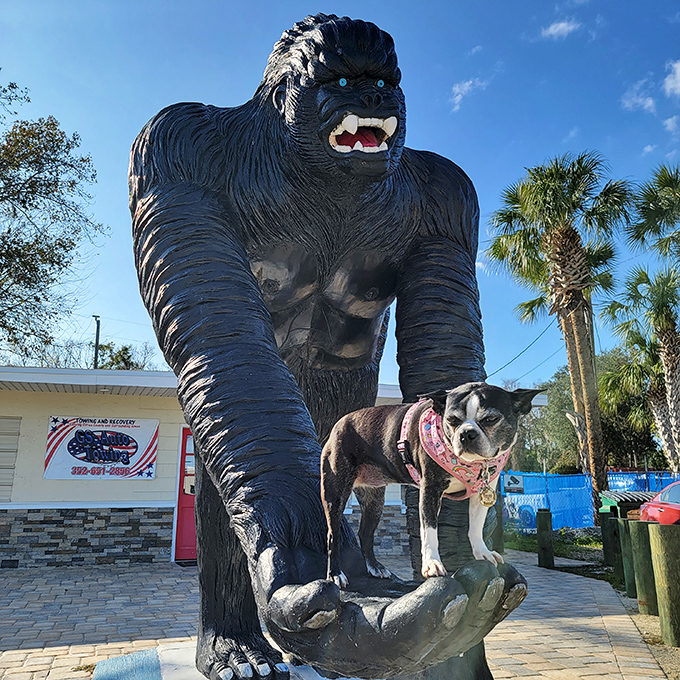 "I come in peace!" This gentle giant cradles his canine friend with surprising tenderness, proving size isn't everything in friendship.