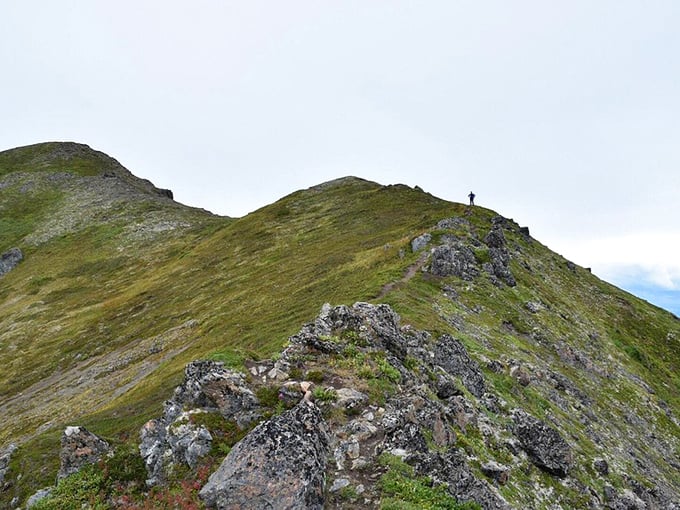 Nature's ultimate ridgeline workout. One hiker, one mountain spine, and views that make you forget you're gasping for breath.