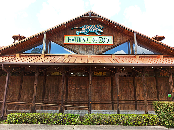 The Hattiesburg Zoo proves you don't need a safari budget to see exotic animals up close and personal.
