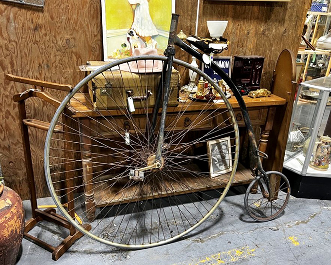 That penny-farthing isn't just decoration—it's a reminder that humans have always complicated simple things beautifully.