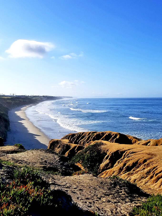 The curve of coastline stretches like a smile on California's face, with Terramar's dramatic bluffs standing guard over pristine sands.