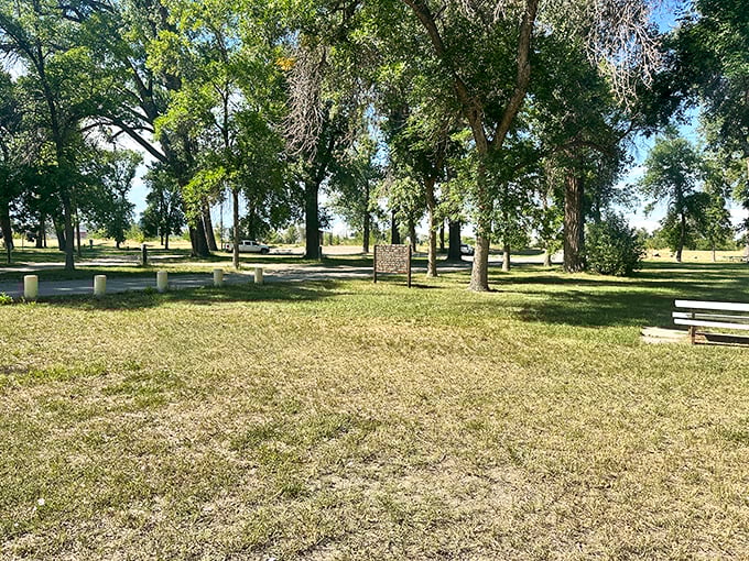 Riverside Park's towering cottonwoods create nature's own cathedral, perfect for contemplating life's important questions like "why didn't I come here sooner?"