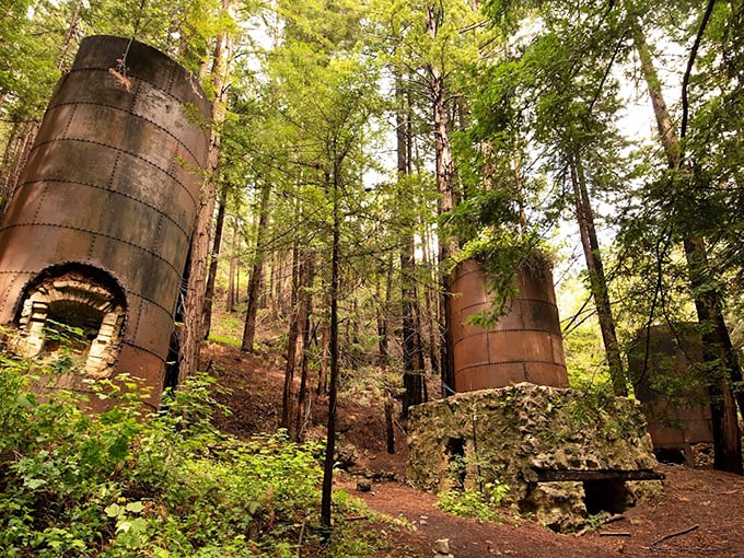 Industrial history meets forest reclamation as these 19th-century lime kilns stand like ancient monuments. Mother Nature's interior decorating skills on full display.
