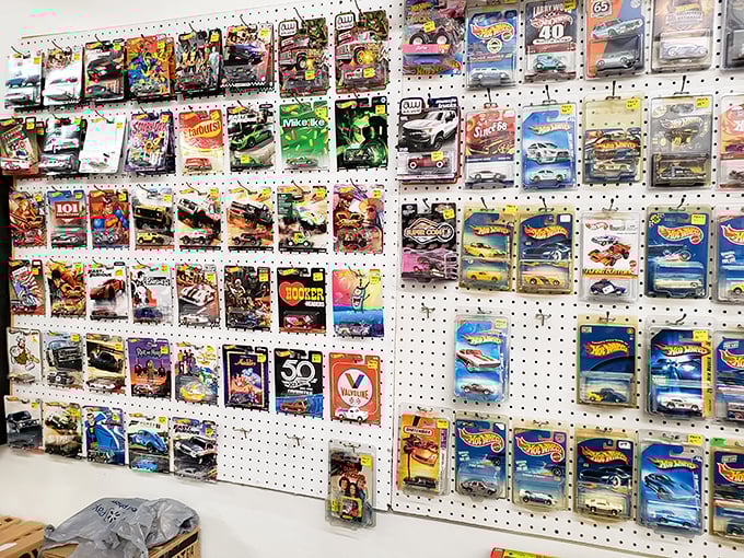 A collector's paradise where Hot Wheels dreams are displayed with museum-like precision. Your inner eight-year-old just fainted from excitement.