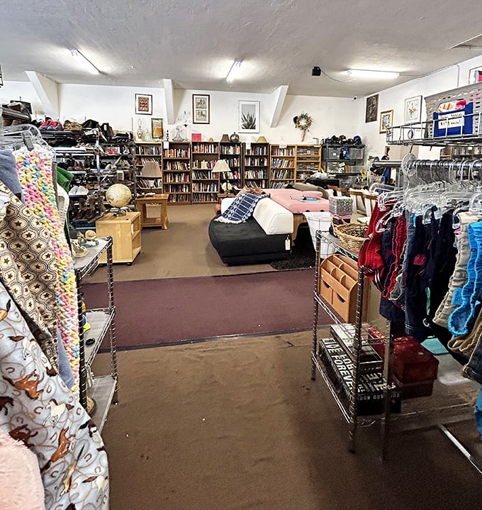 Books and furniture coexist in perfect harmony here, like the world's most comfortable library or the most literate living room.