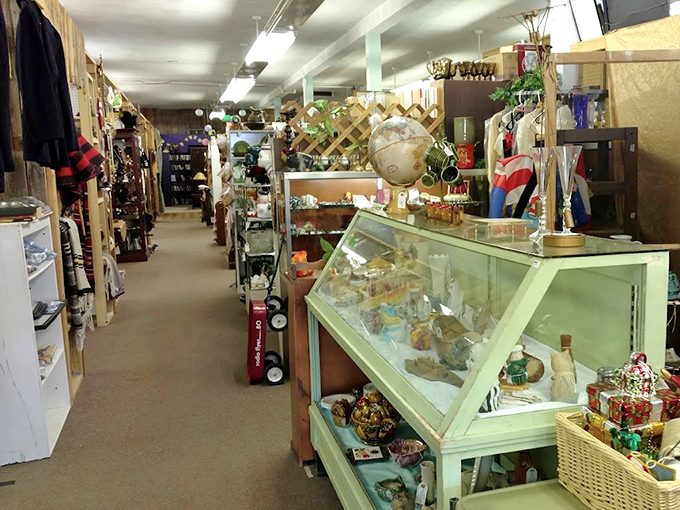 Aisles that stretch into infinity, each turn revealing another decade's worth of treasures. Indiana Jones would trade his whip for a shopping basket here.