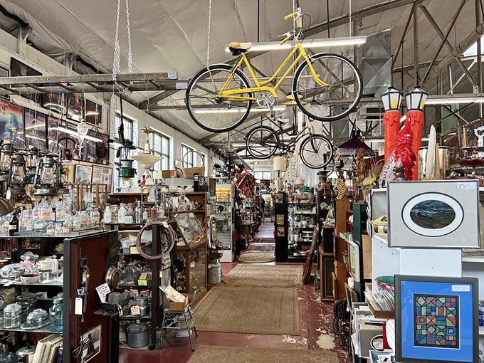 Bicycles suspended from the ceiling create an aerial display above aisles packed with memories and memorabilia.