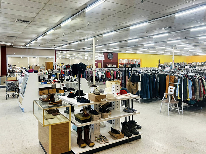 Racks upon racks of possibility stretch toward the horizon. The fluorescent lighting might not be glamorous, but neither are the prices.