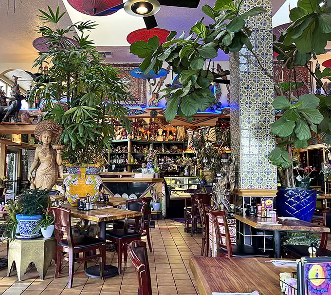 Not sure if you've entered a restaurant or a botanical museum? That's the magic of Tower Café's interior, where dining meets global exploration.