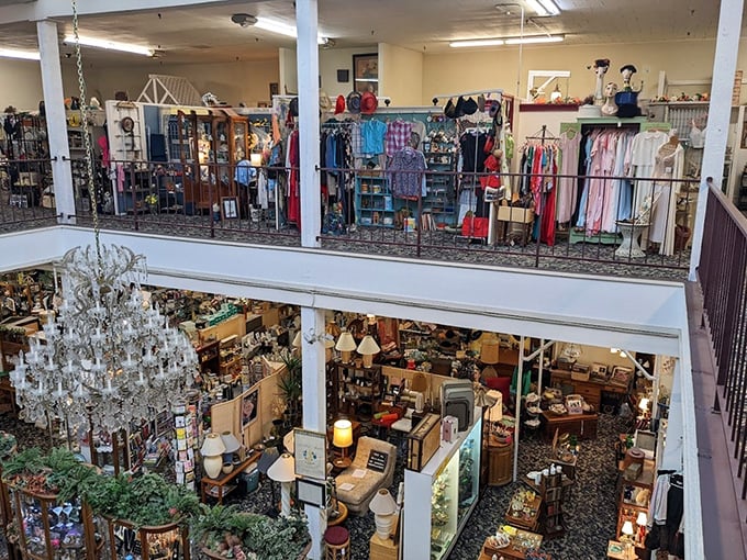 Two floors of organized chaos where treasures hide in plain sight. That chandelier isn't just illuminating the space—it's advertising itself for adoption.