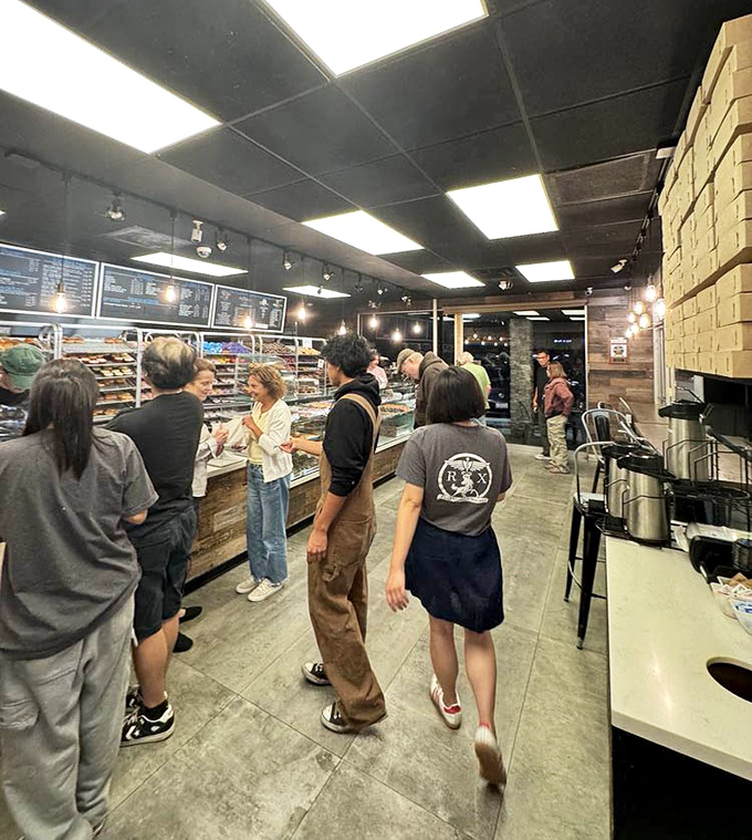 Those glass cases gleaming under modern lighting hold more varieties than your indecisive brain can process before noon.