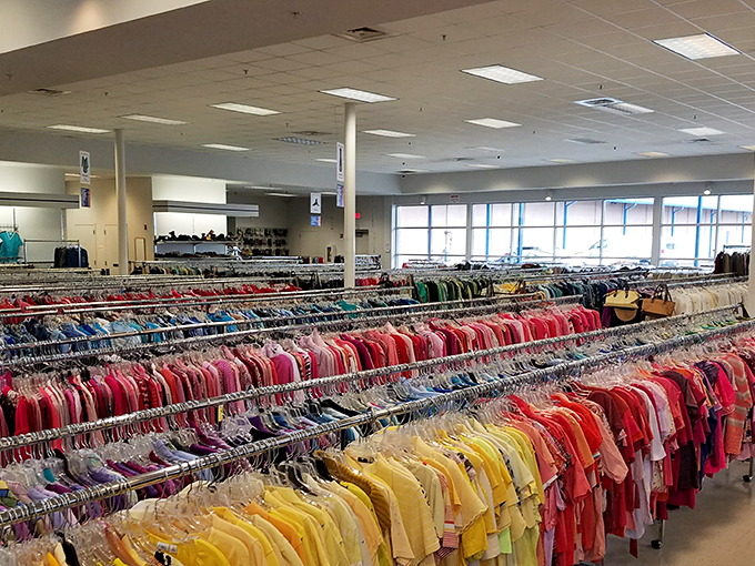 A rainbow of possibilities stretches before you, organized by color rather than price tag. The thrill of the hunt begins here.