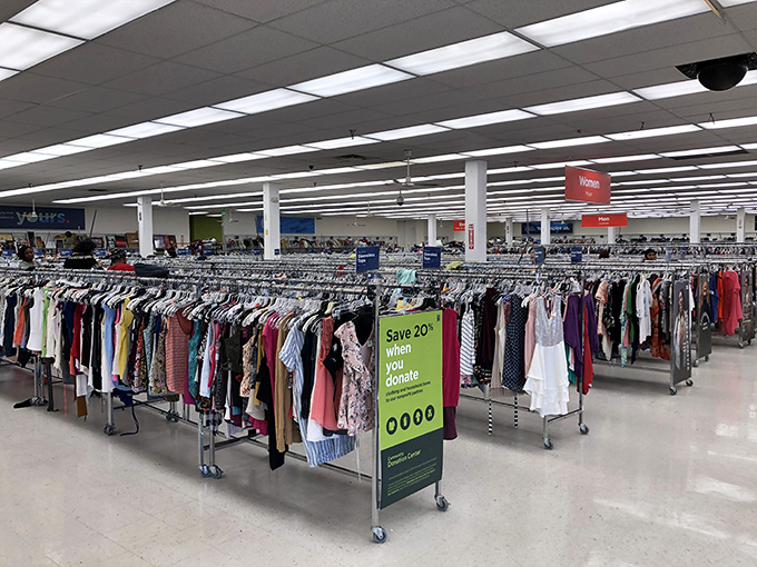 An ocean of possibilities stretches before you &ndash; rack after rack of potential discoveries waiting for the right pair of eyes.