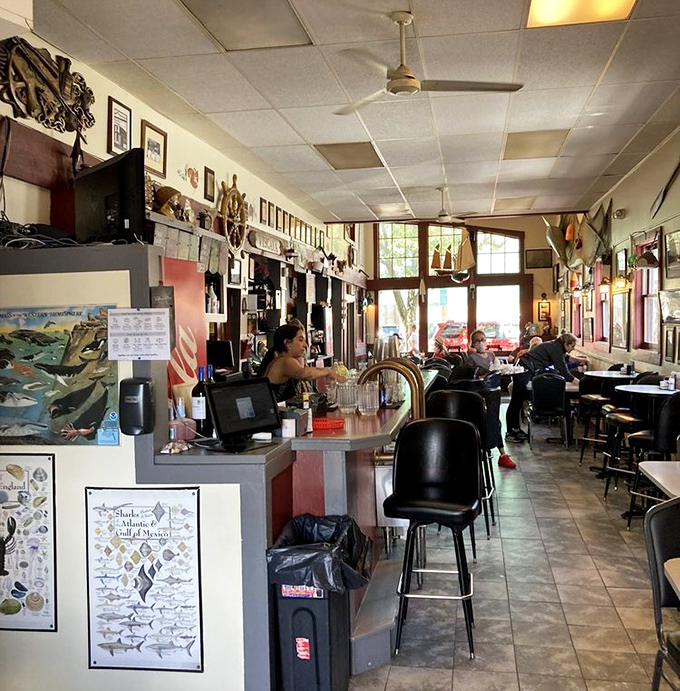 No fancy lighting or designer furniture here—just nautical memorabilia, friendly faces, and the promise of seafood that'll make you forget your table manners.