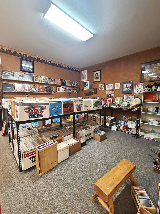 Vinyl heaven awaits music lovers with crates of albums spanning decades. That wooden bench invites you to sit and flip through history.