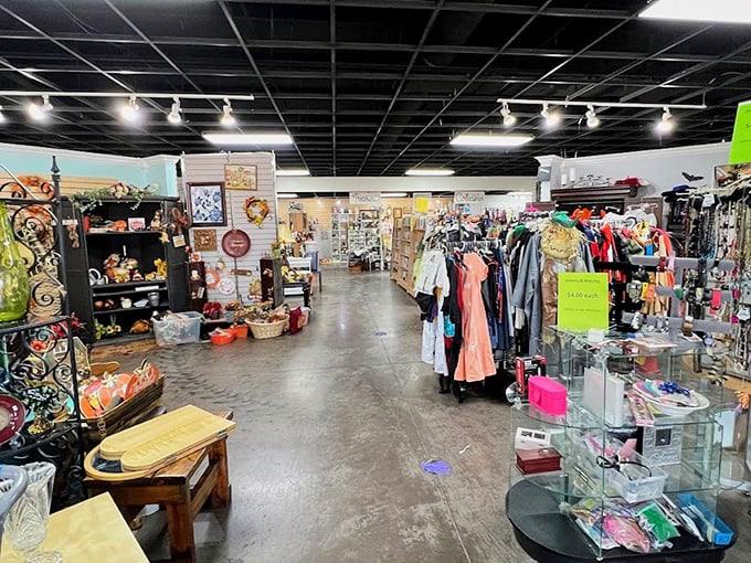 Step inside and the thrift store universe expands before your eyes&mdash;organized chaos that somehow makes perfect sense to seasoned treasure hunters