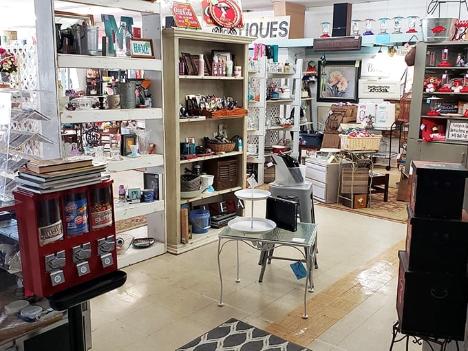 Every shelf tells a story here. This isn't just shopping&mdash;it's time travel through the everyday objects that have shaped American homes for generations.