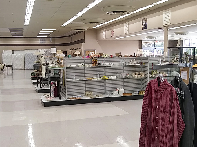 Gleaming floors and organized displays shatter thrift store stereotypes. This isn't your grandmother's jumbled charity shop—it's a bargain department store experience.