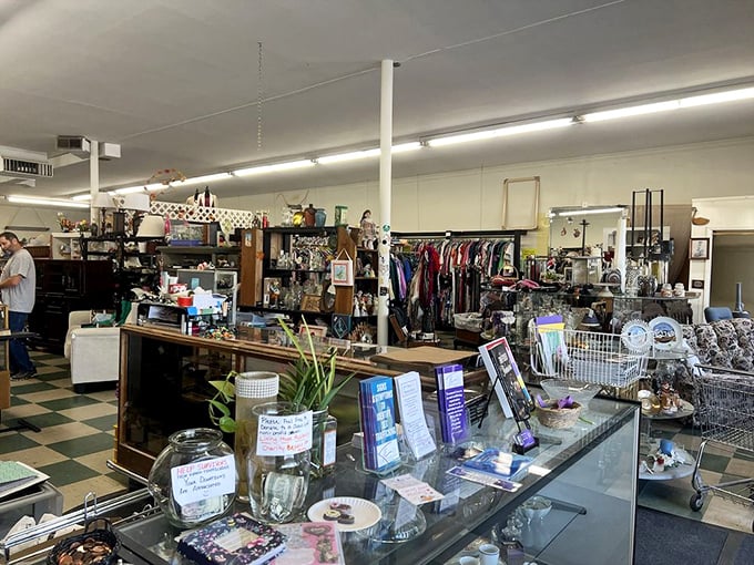 A treasure hunter's paradise awaits just past the checkout counter, where decades of collectibles create an organized chaos of possibility.