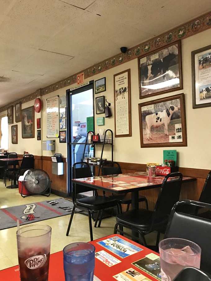 Cow pictures and aviation memorabilia create the perfect unlikely marriage on these walls. It's like someone combined your grandma's kitchen with an air museum.