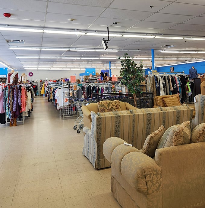 Step inside and behold the promised land of pre-loved treasures, where comfy couches await shoppers needing a mid-hunt rest.