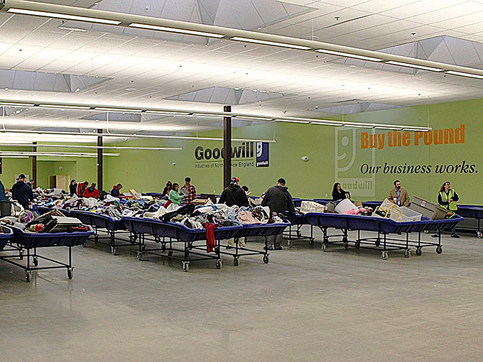 Welcome to the mothership of thrift! Blue bins stretch to the horizon, each one a potential goldmine for the patient and persistent.