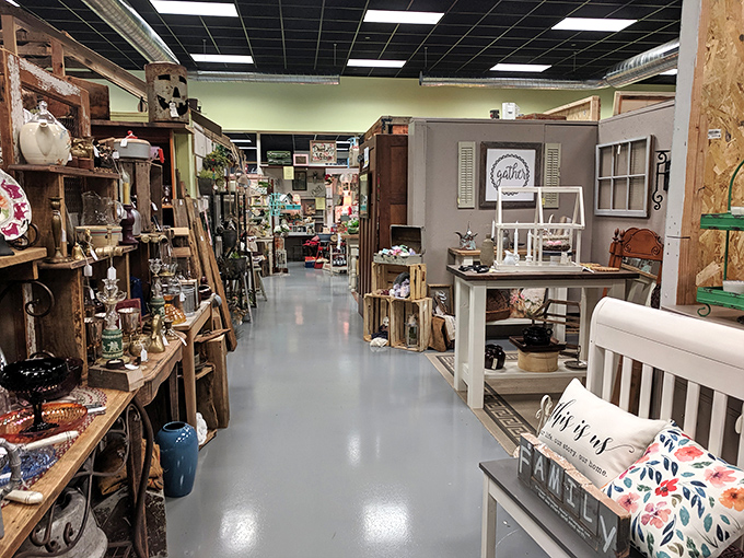 Polished floors lead you through a labyrinth of memories. Each aisle promises discoveries your spouse will pretend to be excited about.