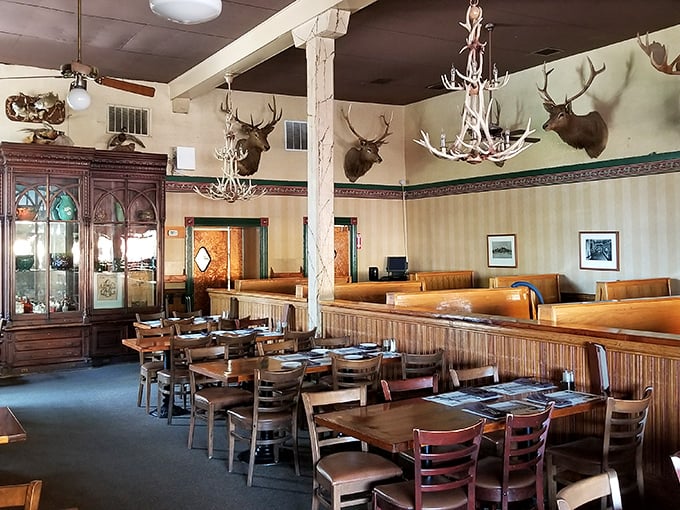 The taxidermy committee clearly had a quorum that day. These antlered observers have witnessed countless first dates, anniversaries, and "I shouldn't... but I will" dessert moments.