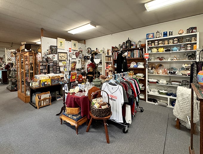 Long aisles of organized chaos where every shelf promises something you didn't know you needed until right now.