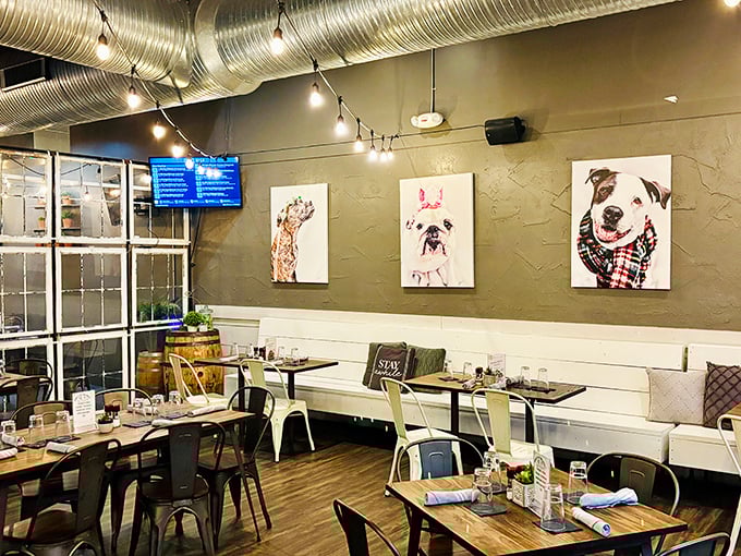 Dog portraits watch over diners with hopeful eyes, while industrial-chic details create the perfect backdrop for comfort food indulgence.