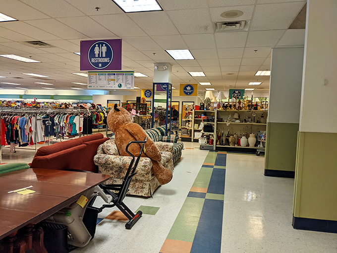 The furniture testing zone&mdash;where that giant teddy bear has clearly made himself at home. Some shoppers spend hours here contemplating life's big questions, like "Will this fit in my car?"