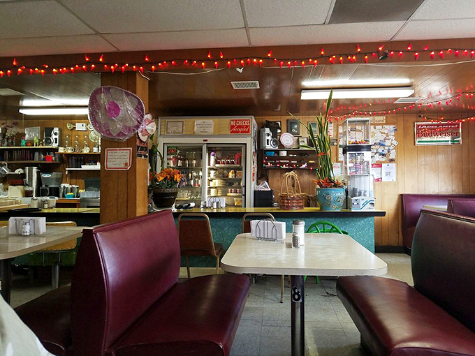 Step inside and time stands still – burgundy vinyl booths, wood paneling, and those festive chili pepper lights create the perfect backdrop for enchilada enlightenment.