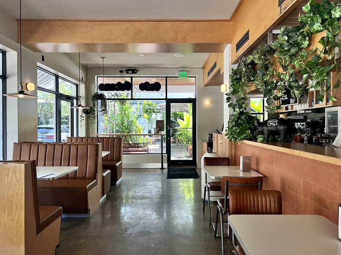 Mid-century modern meets Cuban warmth. Those caramel leather booths practically whisper "sit here and stay awhile."