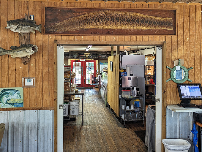 Where fish tales come to life on the walls. That impressive mounted specimen isn't just decoration&mdash;it's a preview of what might have been your dinner's ancestor.
