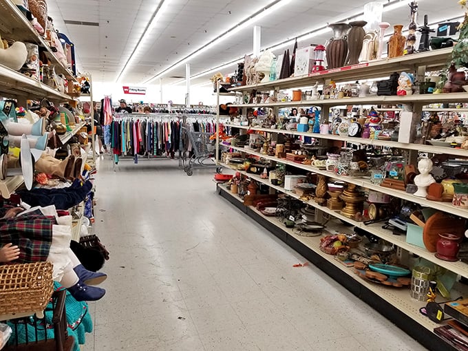 Aisles that stretch like highways of possibility, where clothing racks and housewares shelves create a labyrinth of potential discoveries waiting to be unearthed.