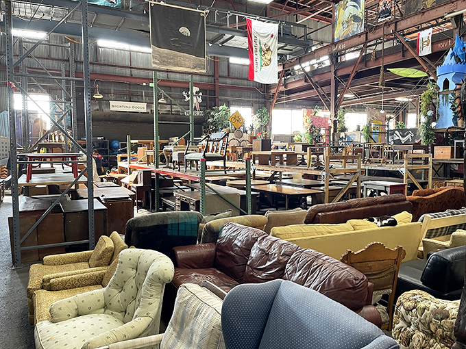 A furniture jungle where sofas of every era congregate, each with stories to tell and new memories waiting to be made.