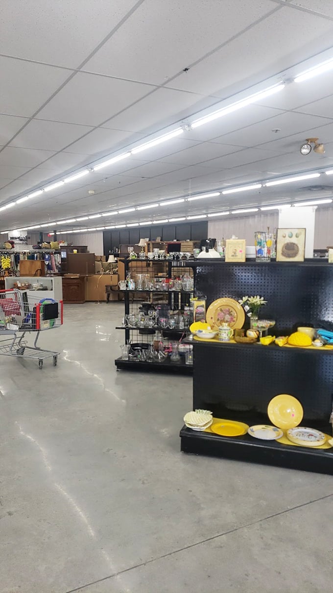 Bright fluorescent lights illuminate aisles of possibility, where yesterday's treasures find tomorrow's homes at prices that feel like happy accidents.