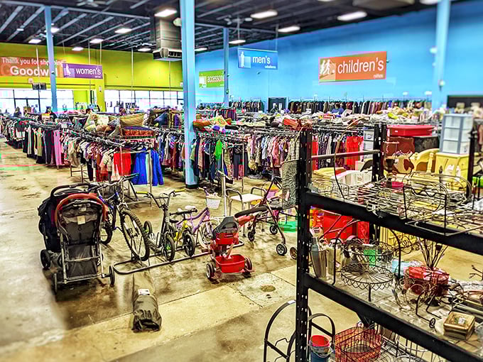 A color-coded wonderland where organization meets possibility. The bright department signs make navigating this treasure trove surprisingly manageable for even first-time thrifters.