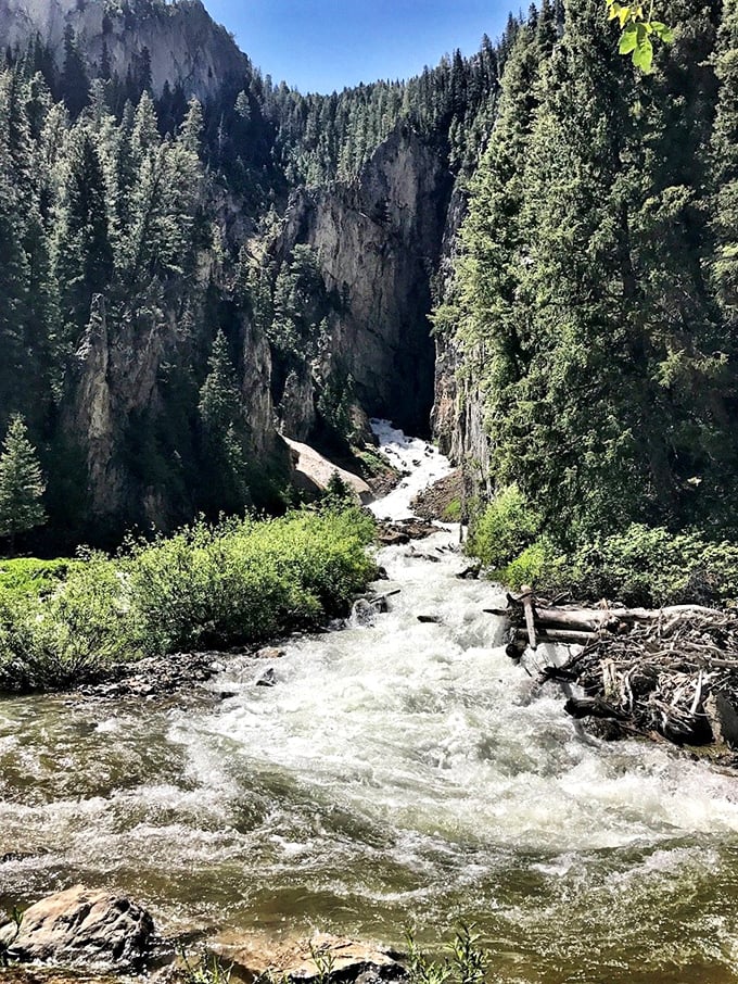 Afton's famous Intermittent Spring carves through dramatic canyon walls, creating a rhythmic natural wonder that mysteriously turns on and off.