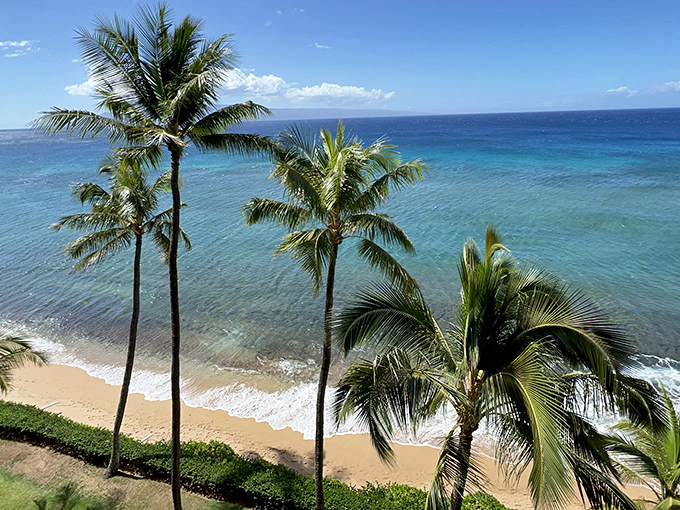 Ka'anapali's palm-fringed shoreline meets waters so blue they seem digitally enhanced. Mother Nature showing off her Photoshop skills without needing Photoshop.