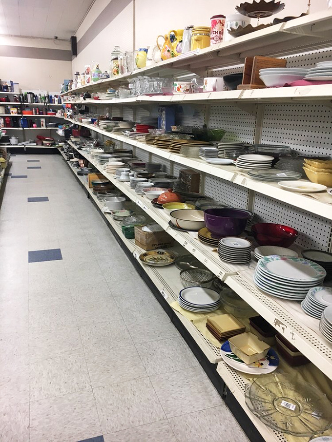 A ceramic wonderland where every plate tells a story. From vintage Pyrex to quirky mugs, these shelves hold dinner parties waiting to happen.