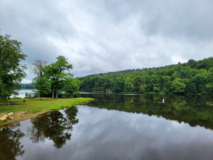 This tranquil lake view captures Pennsylvania's version of paradise. Trees reflecting in calm waters create a symmetry that even the most dedicated yoga instructor would envy.