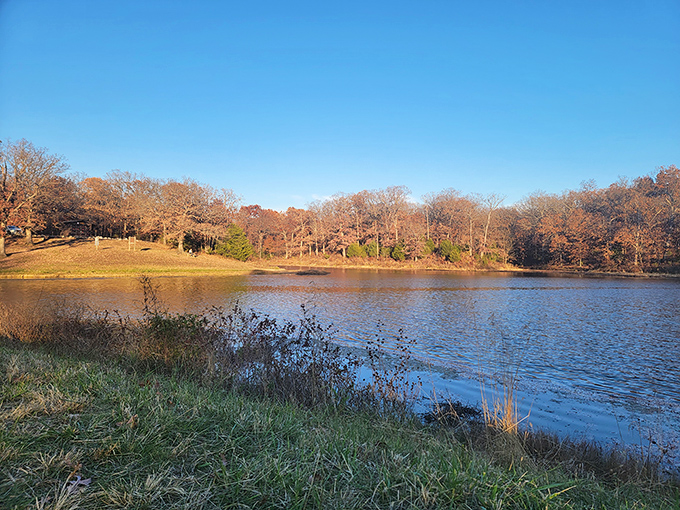 Autumn paints the shoreline in amber and gold, transforming this serene lake into a mirror that perfectly captures Missouri's seasonal wardrobe change.